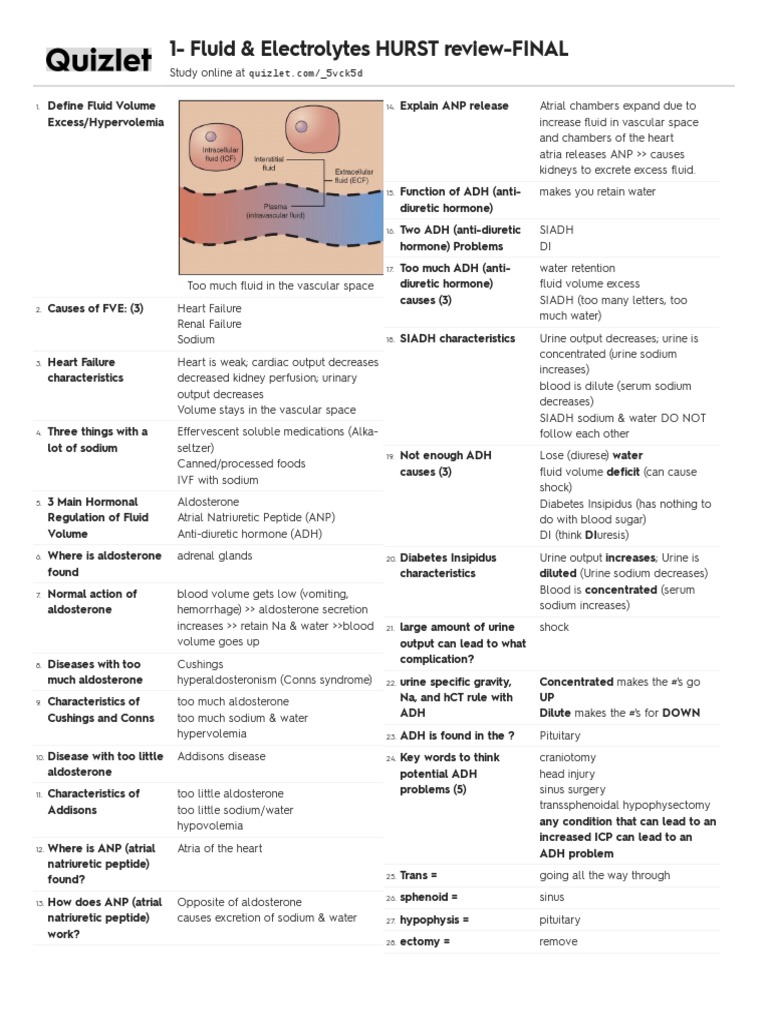 Fluids Electrolytes Visual Notes | PDF | Alzheimer's Disease | Diseases ...