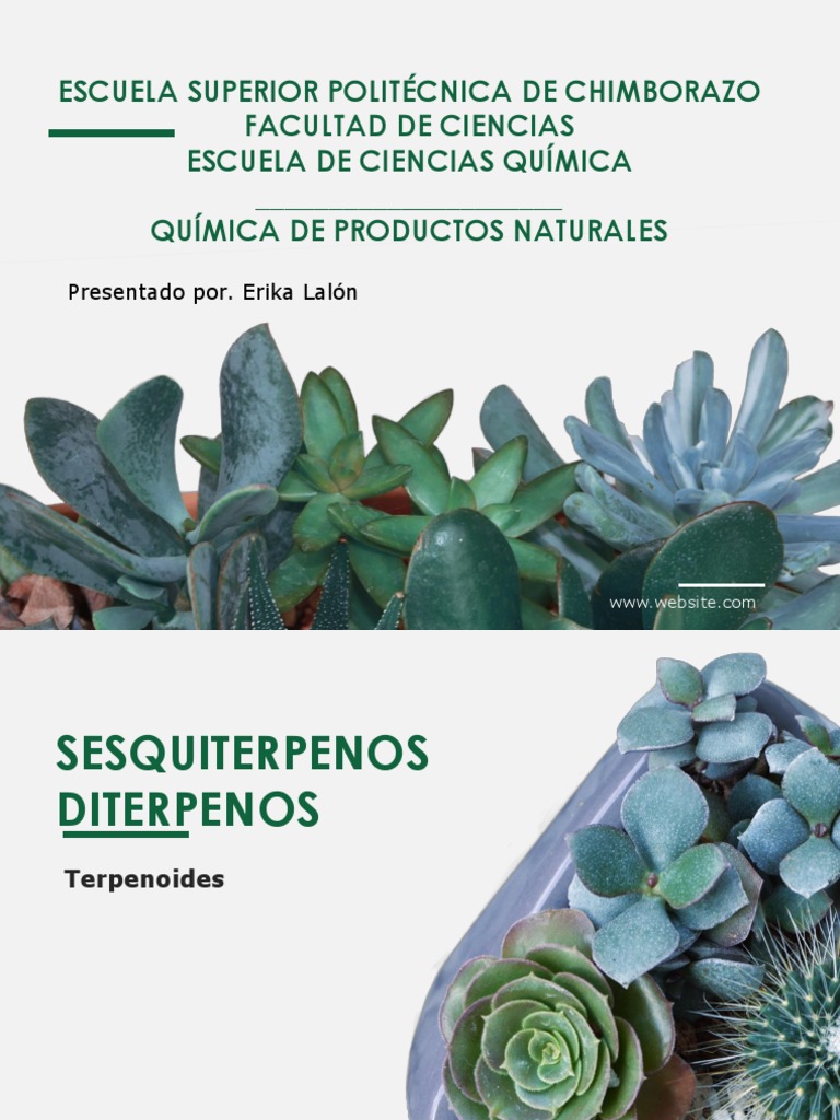 Estructura y propiedades de terpenos | PDF | Productos naturales ...