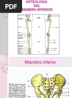 Anatomía del Maléolo Interno del Tobillo | PDF | Tobillo | Anatomía del ...