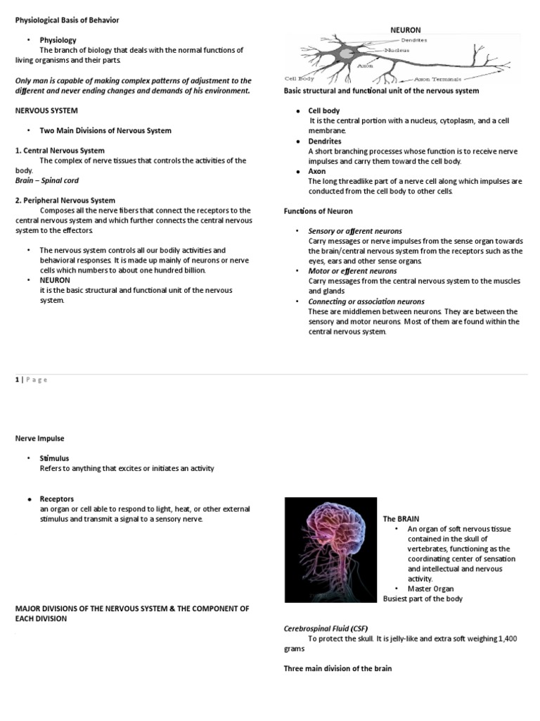 Physiological Basis of Behavior | PDF | Nervous System | Neuron