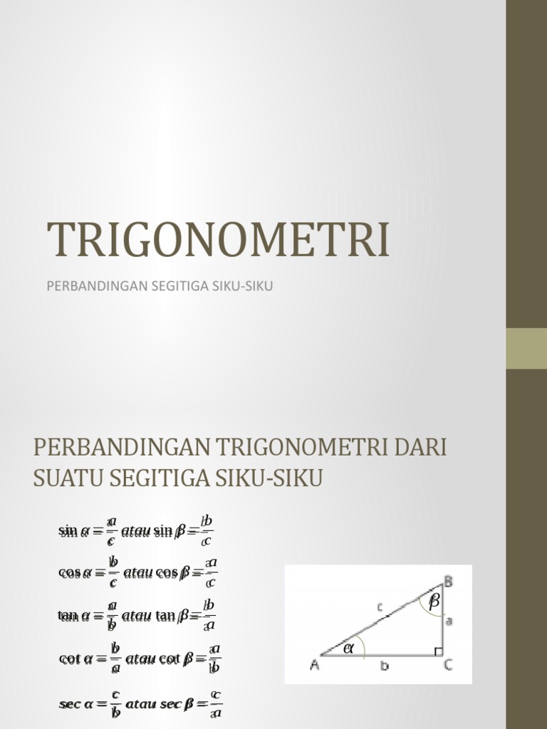 Perbandingan Trigonometri Segitiga Siku-Siku | PDF