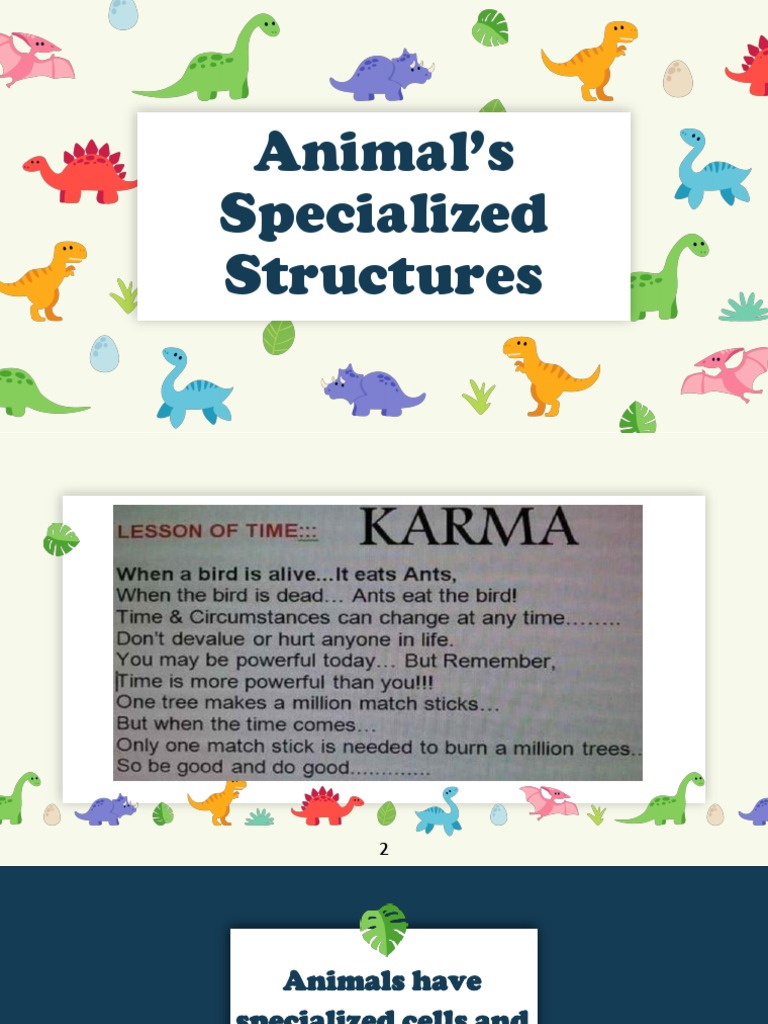 1.1 Animal's Specialized Structures | PDF