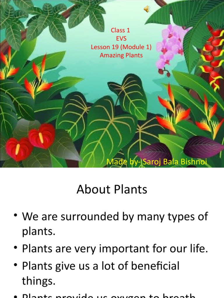 Understanding Plants for Class 1 | PDF | Home & Garden | Technology ...