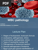 How To Call in A 9line MEDEVAC and MIST Report | PDF | Clinical ...