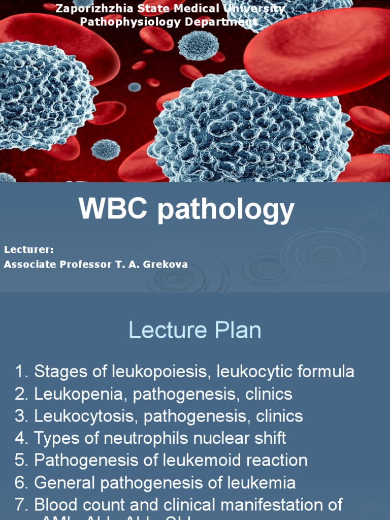 WBC Pathology: Lecturer: Associate Professor T. A. Grekova | PDF ...