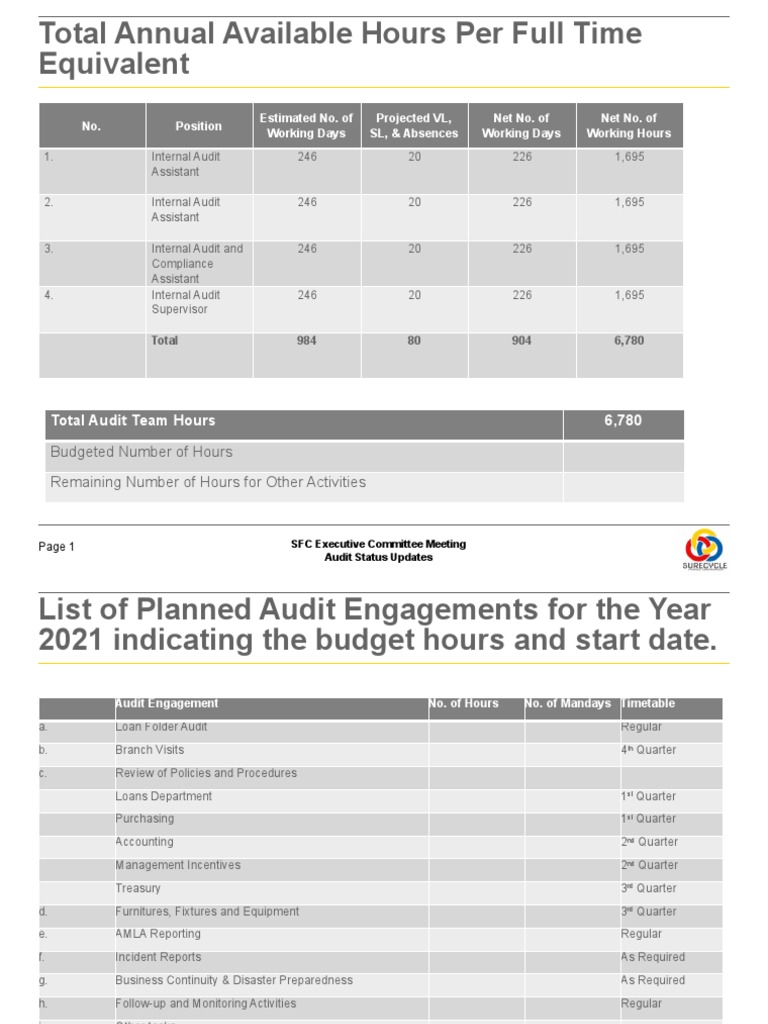 Total Audit Team Hours 6,780: Budgeted Number of Hours Remaining Number ...