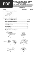 MRS Gren | PDF | Cell (Biology) | Organisms