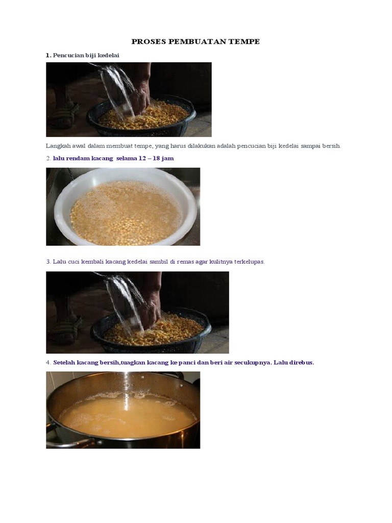 Proses Pembuatan Tempe | PDF