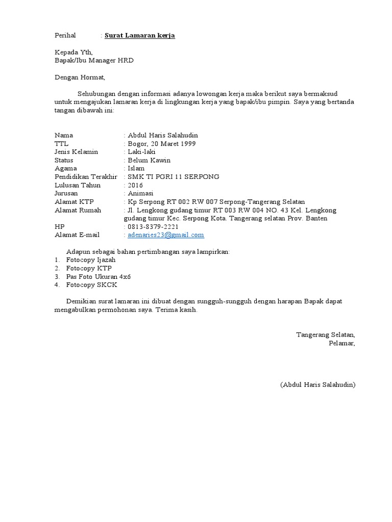 Contoh CV (Curriculum Vitae) | PDF