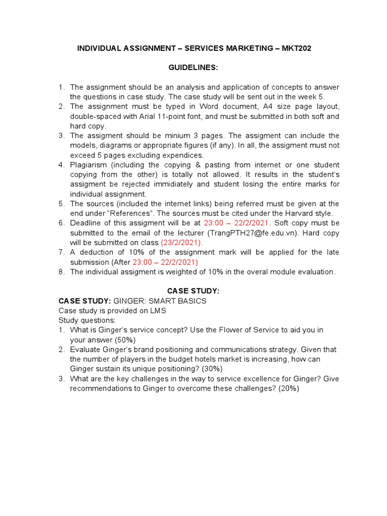 Individual Assignment Guidelines | PDF | Business