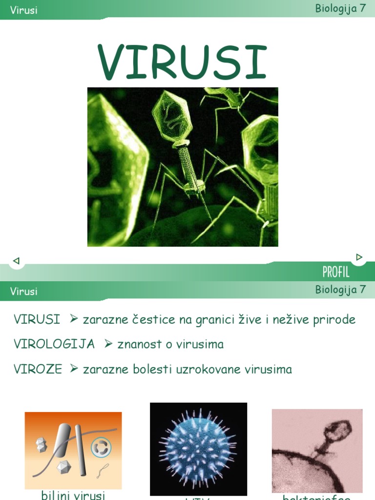 Virusi | PDF