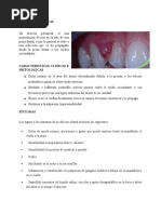 Amebax Inserto WEB | PDF | Ciencias de la Salud | Medicina CLINICA