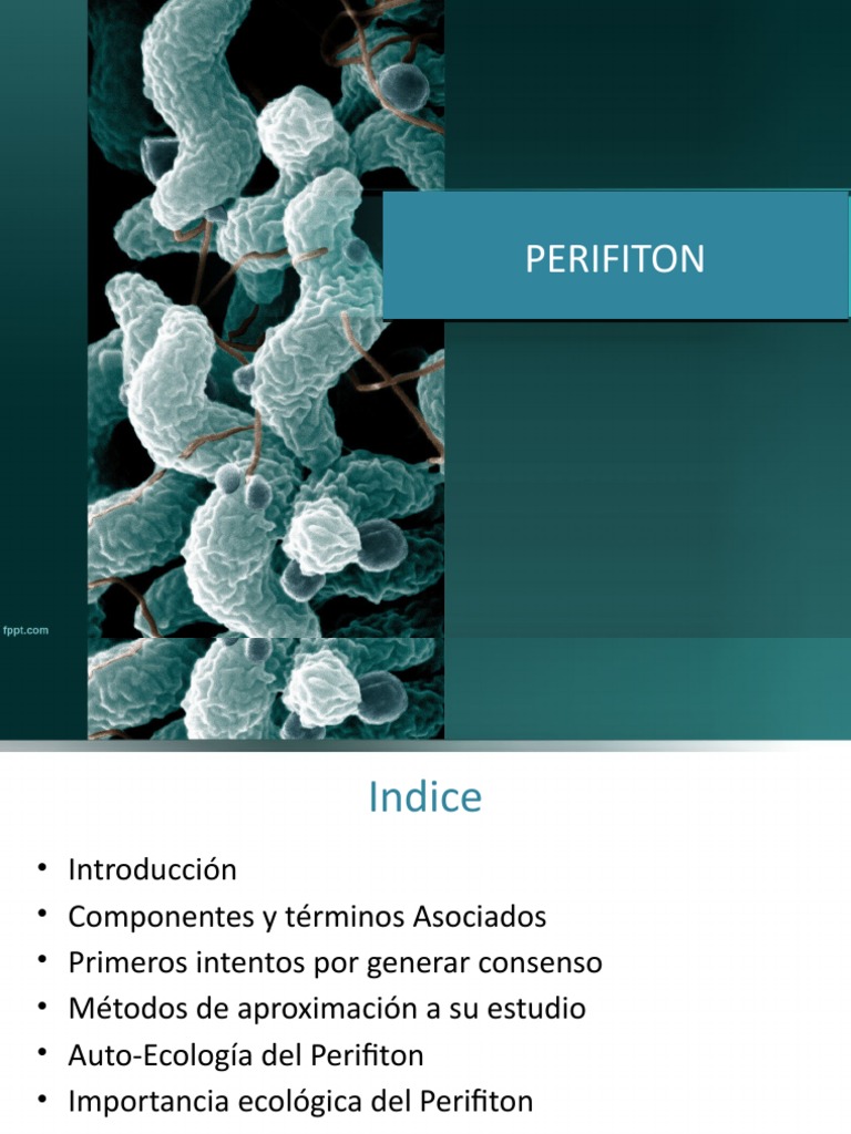 Perifiton | PDF