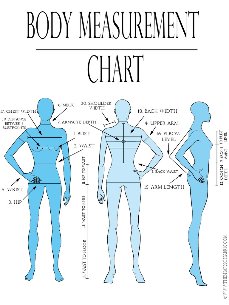 Body Measurement Chart | PDF | Waist | Chair