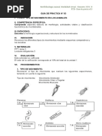 Ejemplos de Movimiento Ameboide | PDF | Músculo esquelético | Biología ...