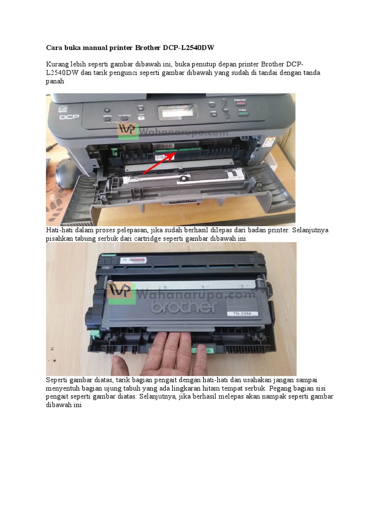 RESETTING THE INK AND REPLACING THE CARTRIDGE | PDF
