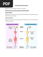 Types of Mutations Explained | PDF | Mutation | Point Mutation