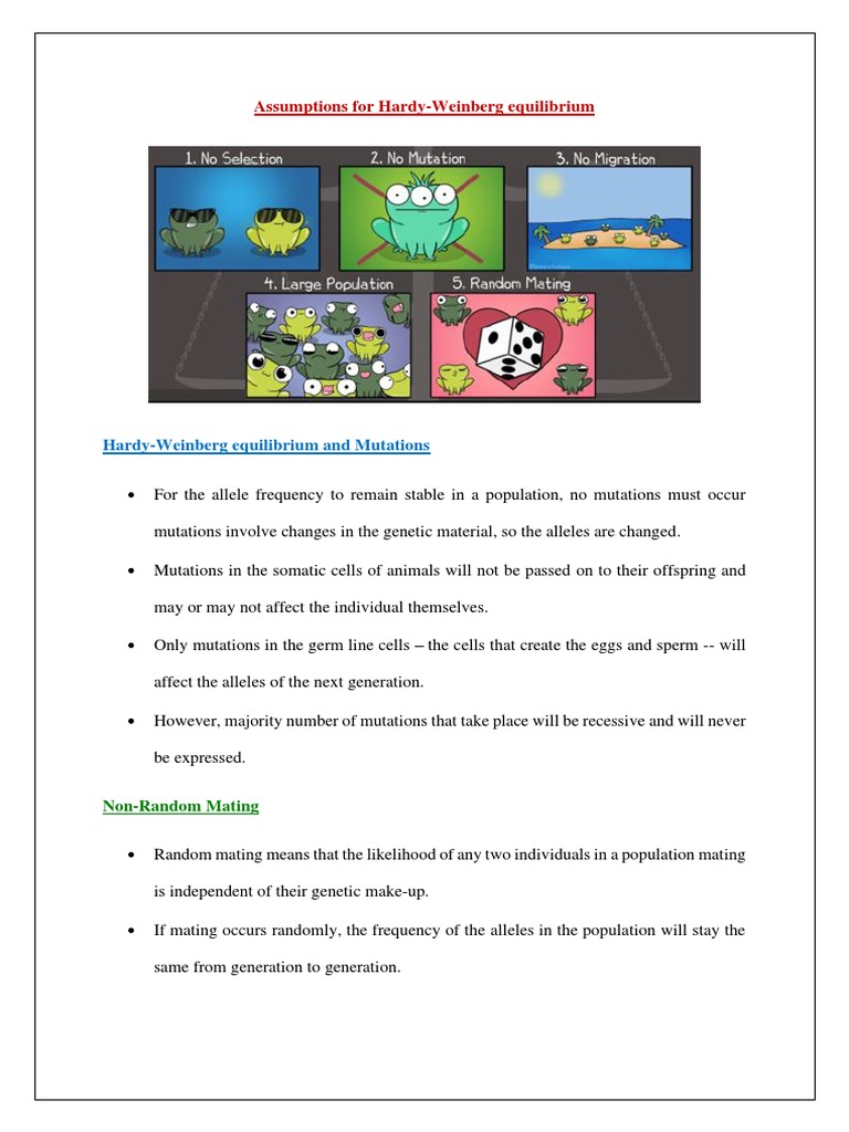 Hardy Weinberg Equation | PDF | Natural Selection | Evolution