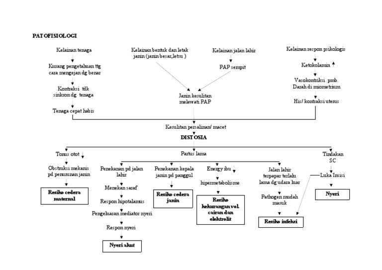 Pathway Distosia | PDF