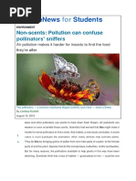 How To Bee by Bren Macdibble | PDF | Adjective