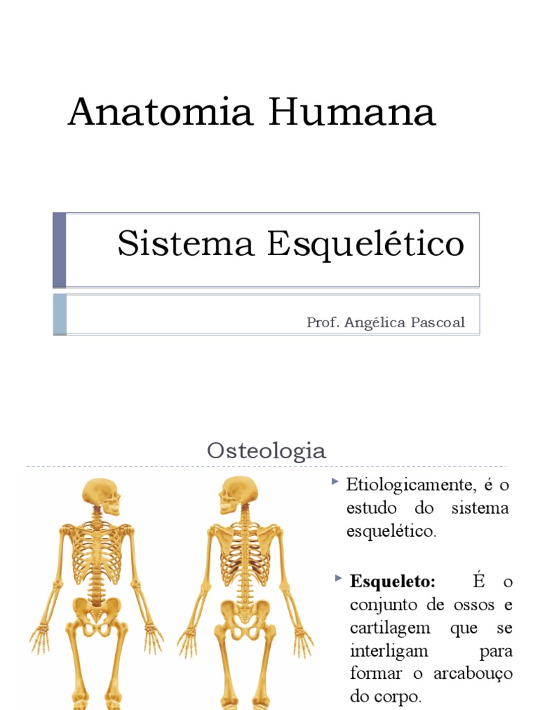 Anatomia Humana (Osteologia) | PDF | Coluna vertebral | Esqueleto