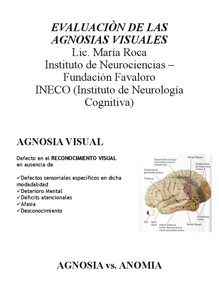 Evaluaciòn de Las Agnosias Visuales 2 | PDF | Procesos mentales ...