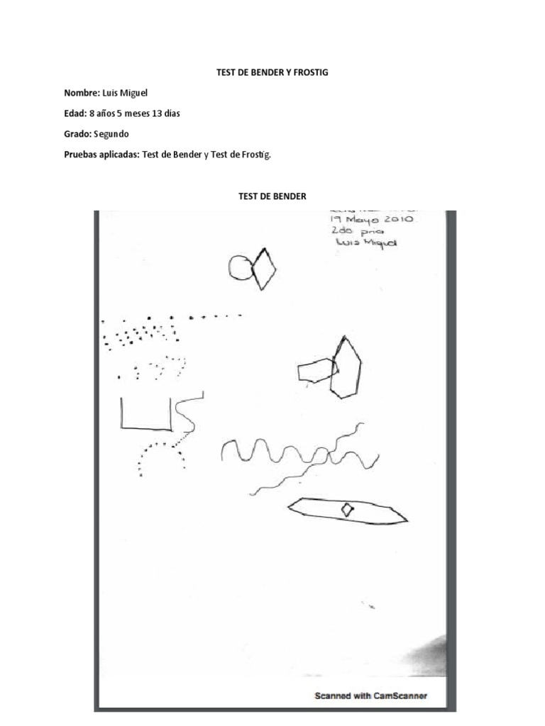 Test de Bender y Frostig | PDF | Percepción | Evaluación neuropsicológica