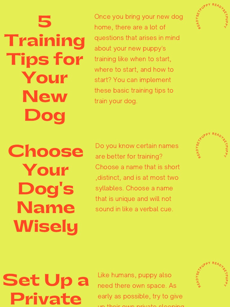 5 Training Tips For Your New Dog: TP UP PYR YS E T P | PDF | Dogs ...