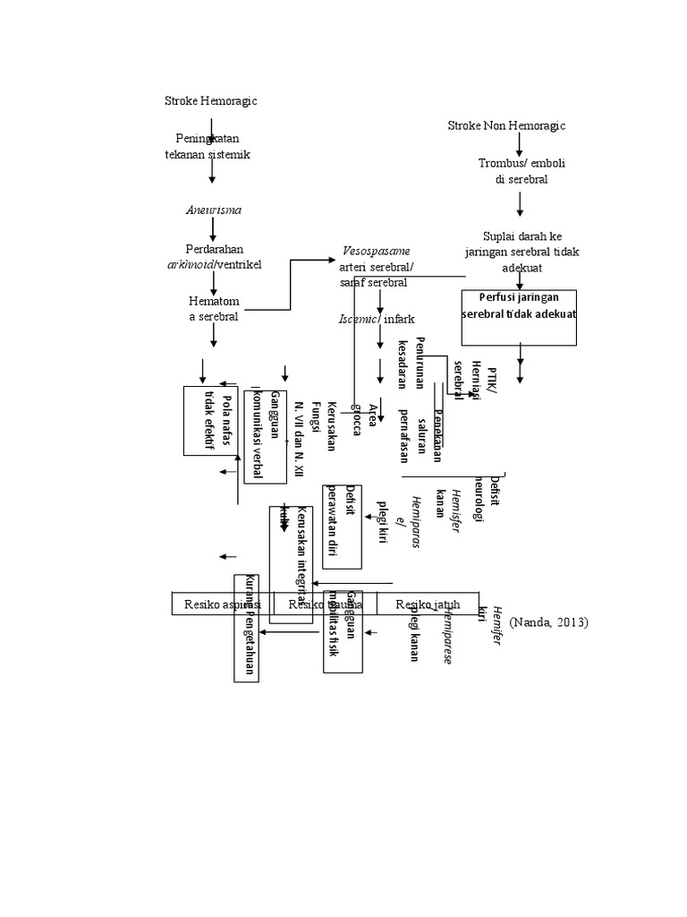 Pathway Stroke dan Defisit Neurologi | PDF