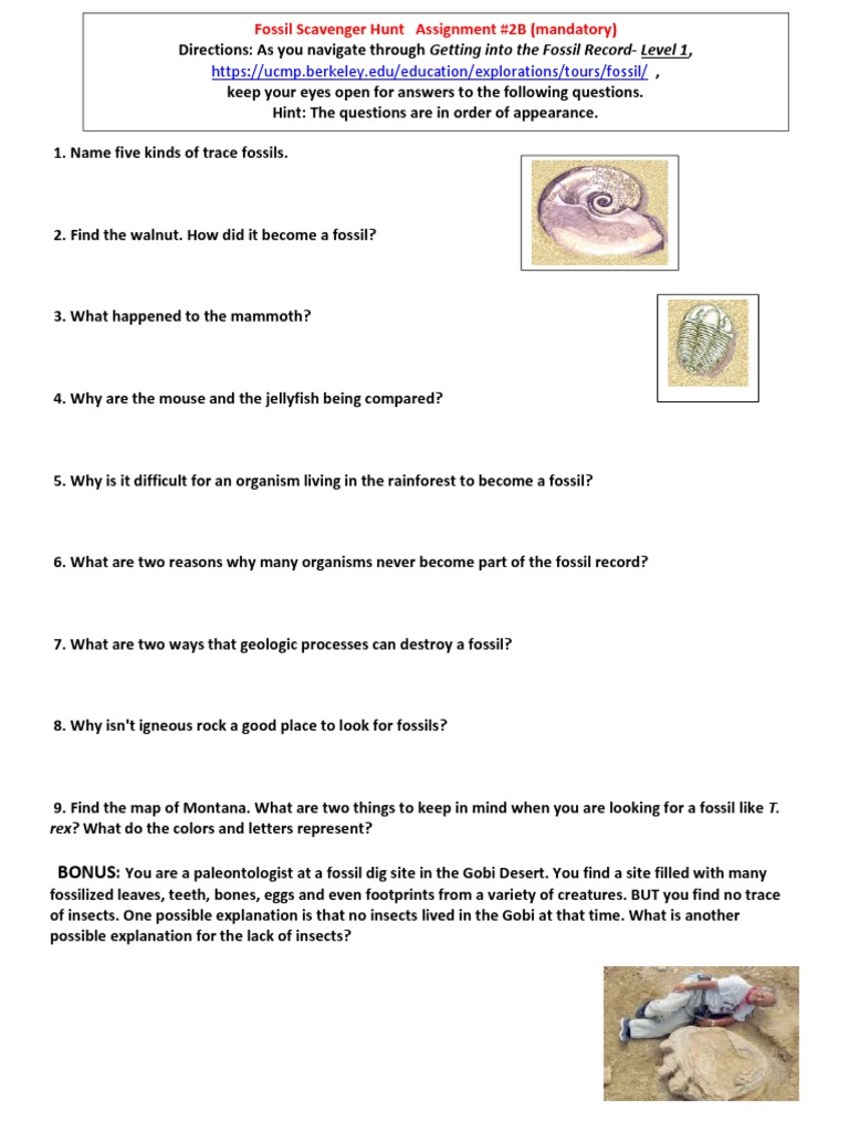 Fossil Scavenger Hunt Assignment | PDF