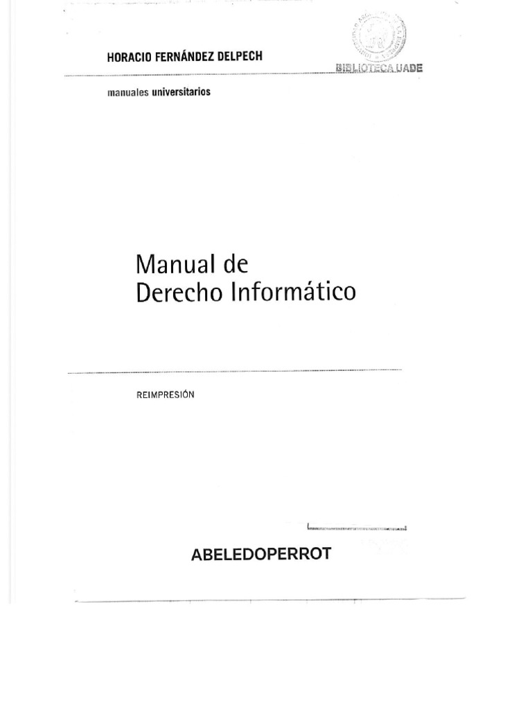 Manual de Derecho Informatico - Completo | PDF