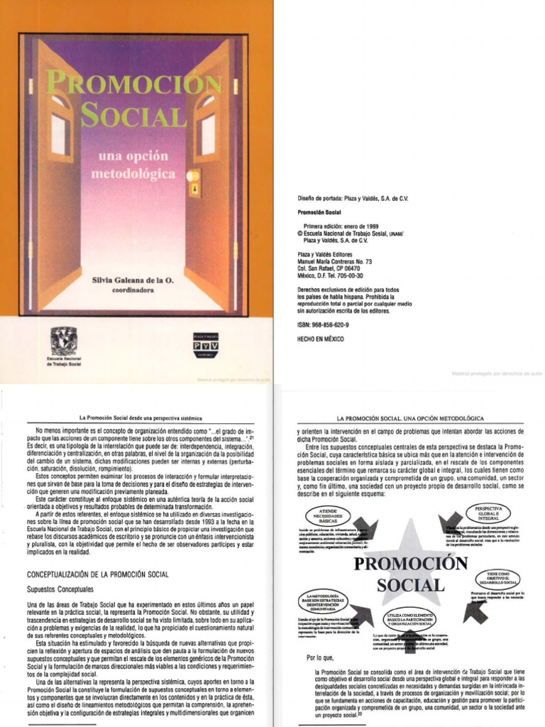 1.3 Conceptualización de La Promoción Social | PDF