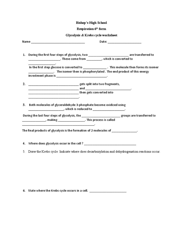 Glycolysis Worksheet | PDF