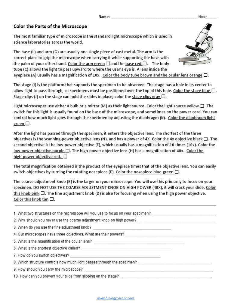 Color The Parts of The Microscope | PDF | Glass Engineering And Science ...