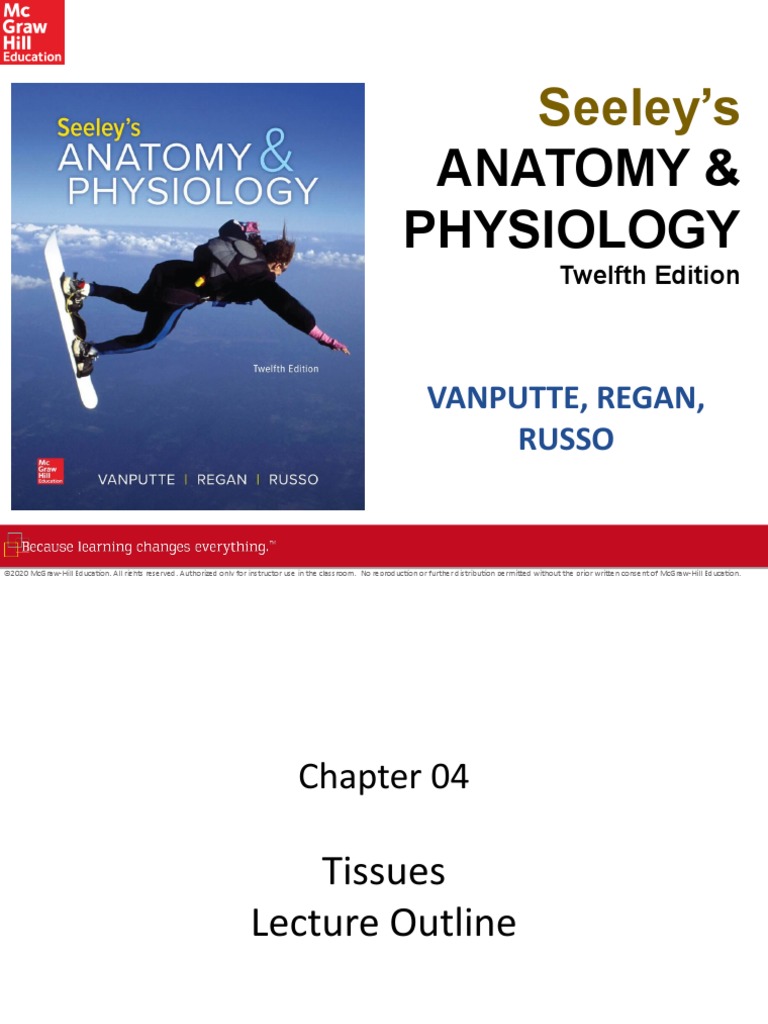 Chapt04 Lecture 12e Accessible | PDF | Epithelium | Connective Tissue