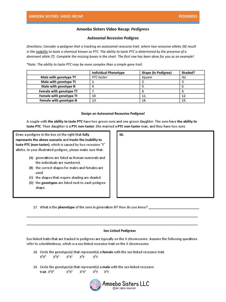 Video Recap of Pedigrees by Amoeba Sisters | PDF | Dominance (Genetics ...