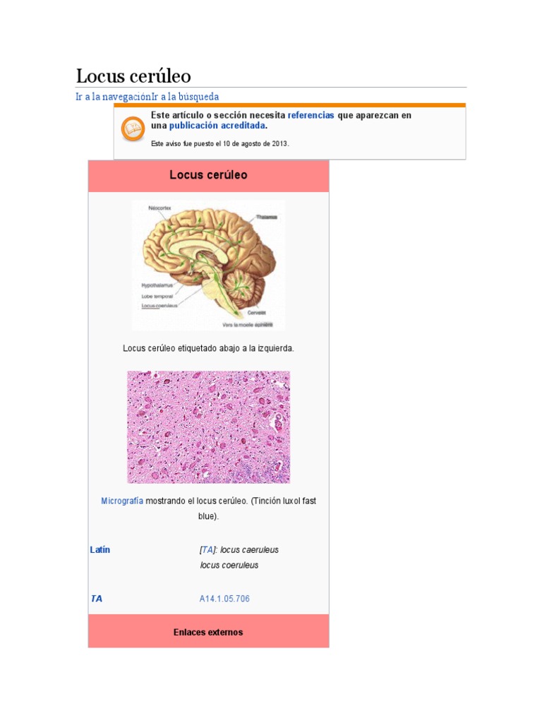 Locus Cerúleo: Función y Anatomía | PDF | Neurofisiología | Biología