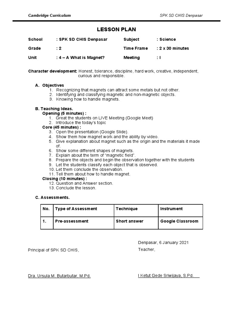 Lesson Plan: Cambridge Curriculum | PDF | Magnetism | Curriculum