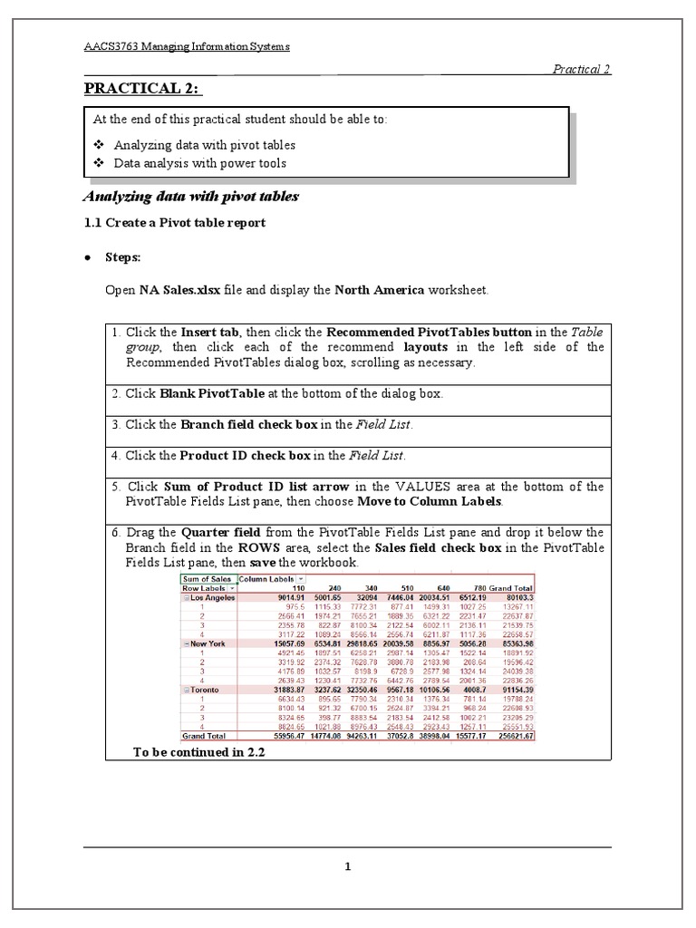 Practical 2:: Analyzing Data With Pivot Tables | PDF | Information Management | Microsoft Excel