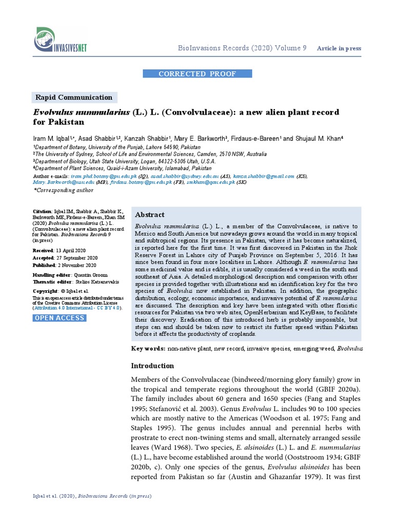Evolvulus Nummularius (L.) L. (Convolvulaceae) | PDF | Leaf | Flowers