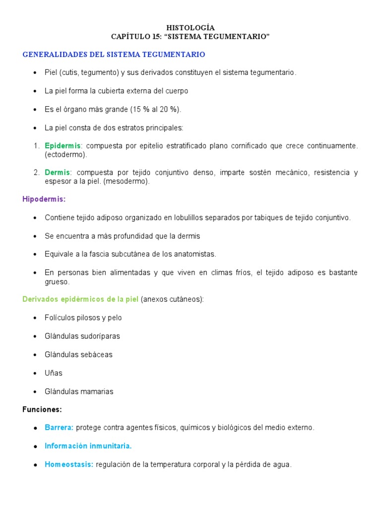 Ross Capitulo 15 | PDF | Piel | Epidermis