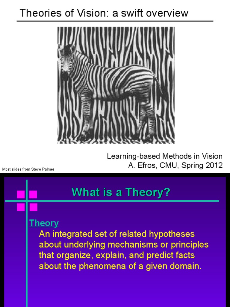 Theories of Vision: A Swift Overview: Learning-Based Methods in Vision ...