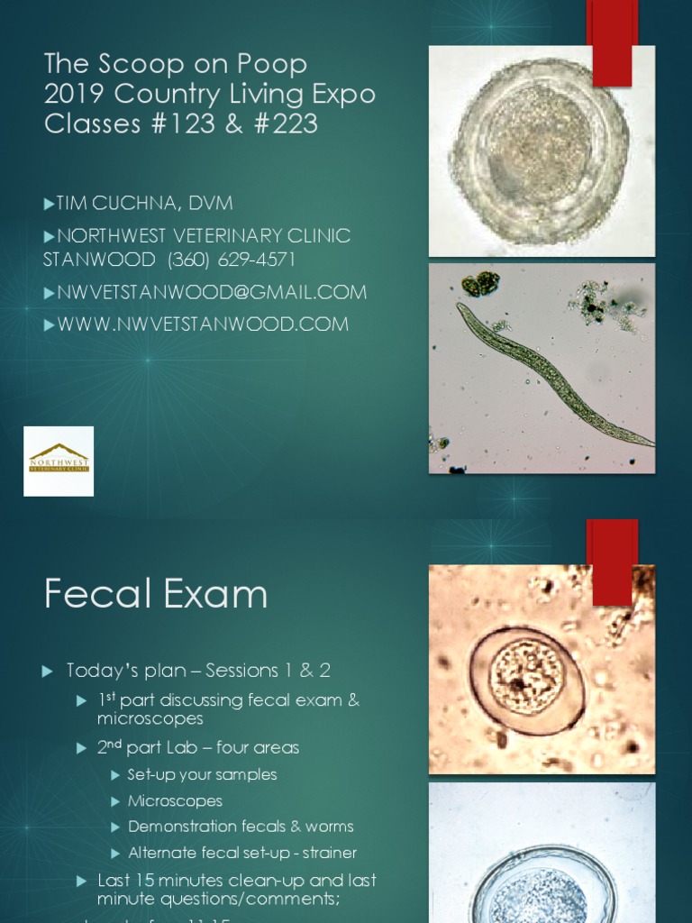 Fecal Examination For Parasites - 2019 1 | Parasitism | Parasitology