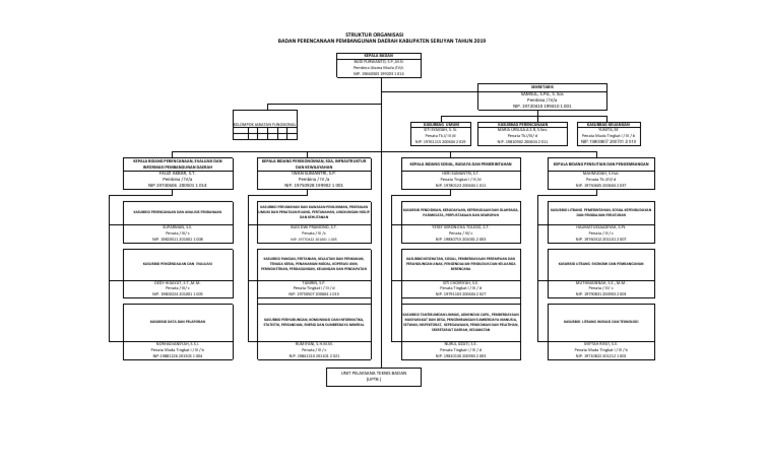 Struktur Bappeda (2019) New | PDF