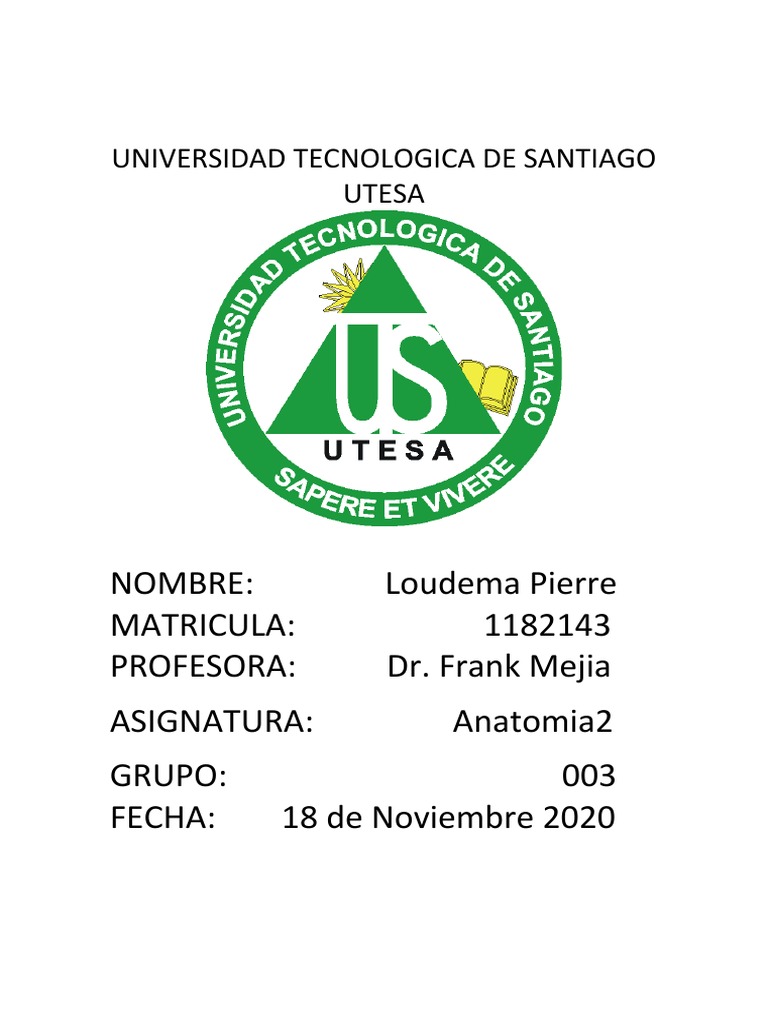 Anatomía del recto y ano: partes, relaciones y dimensiones | PDF ...