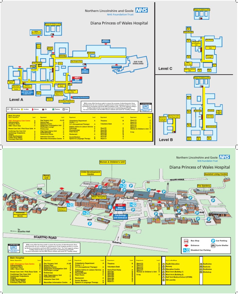 Diana Princess of Wales Hospital: Level C | Download Free PDF ...