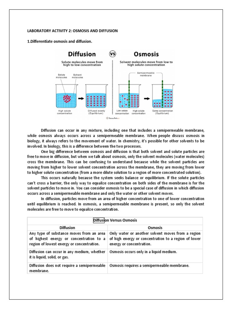 Biochem Laboratory Activity 2 | PDF | Osmosis | Cell Membrane