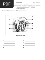 Chapter 11 - Digestive System - Solutions For Class 9 ICSE Concise Biology Selina ...