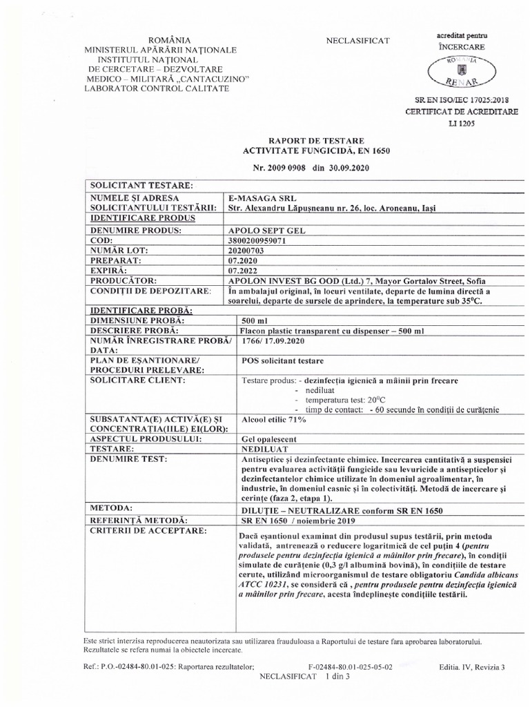Raport de Testare | PDF