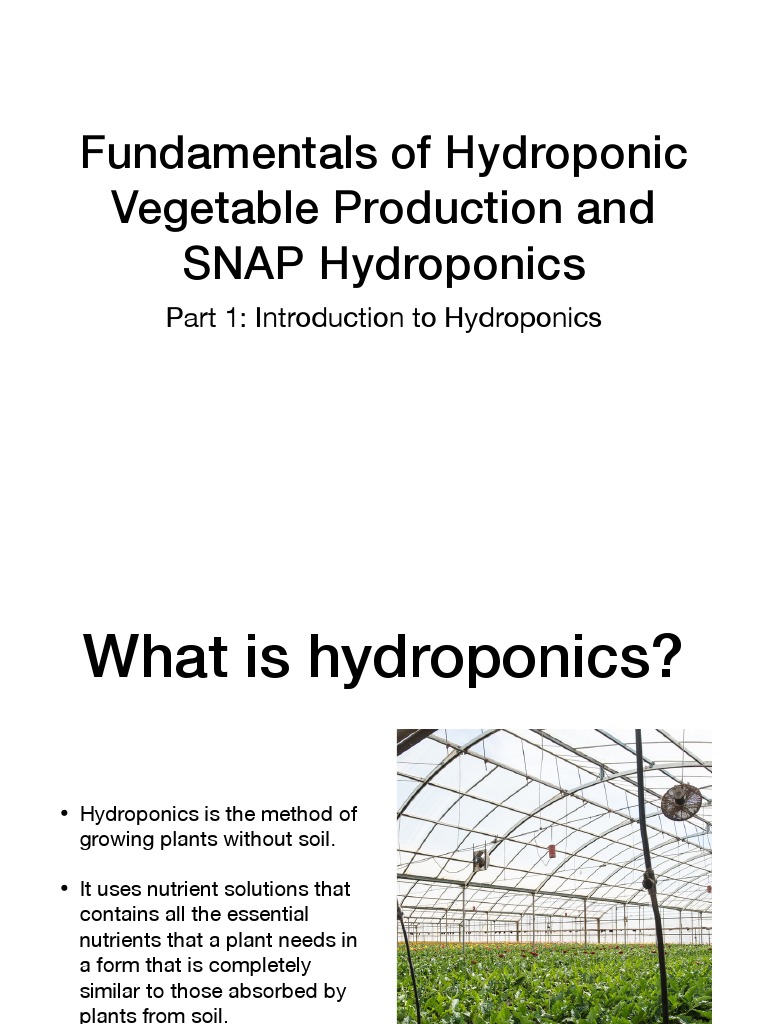 Fundamentals of Hydroponic Vegetable Production and SNAP Hydroponics ...